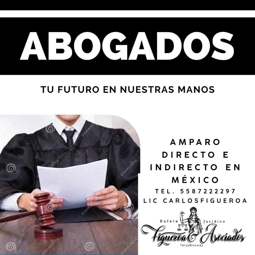 Amparo Directo E Indirecto En México